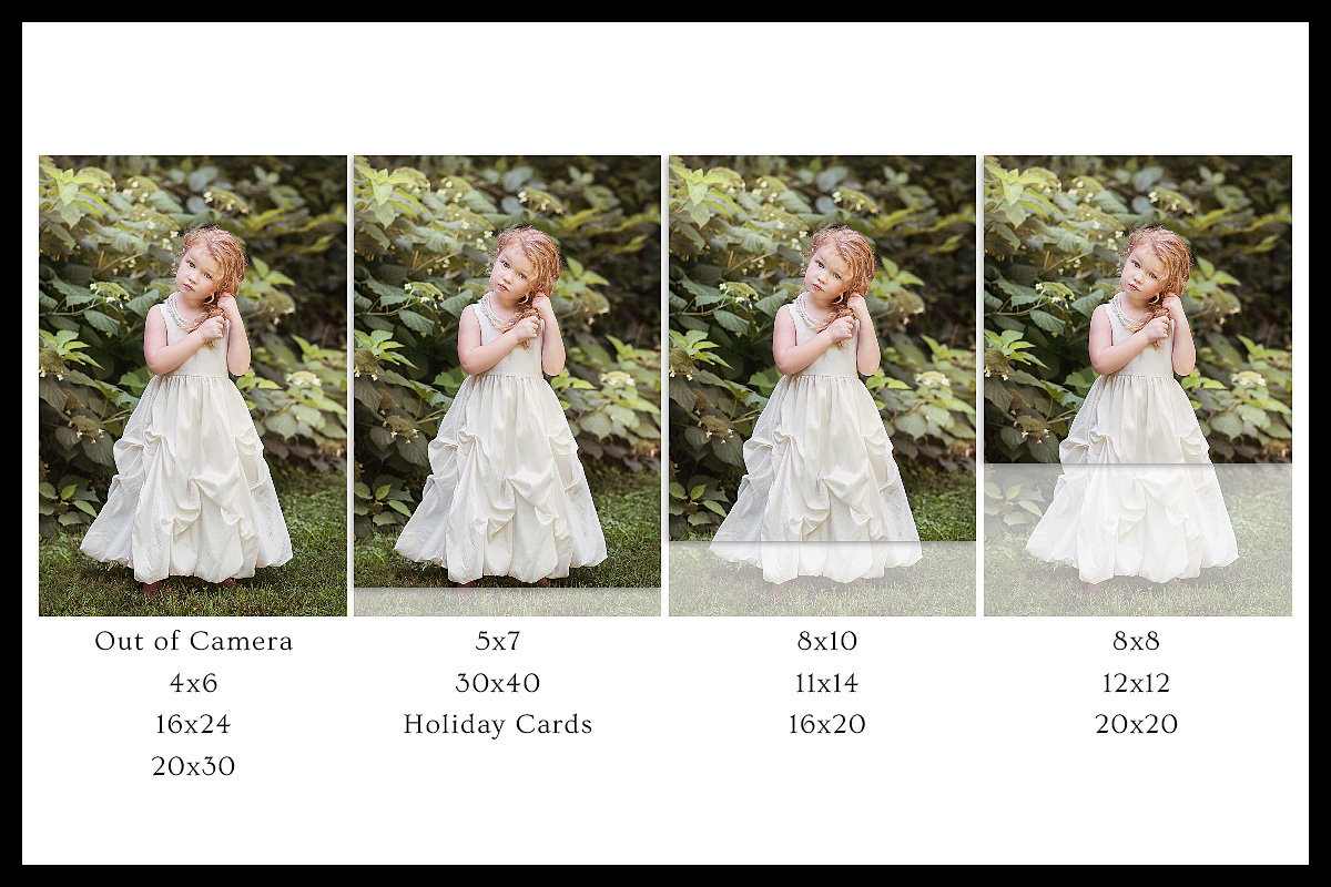 Ray Davis Photography | Understanding Crop Ratios: What are print sizes? Ray Davis Photography | Understanding Crop Ratios: What are print sizes?